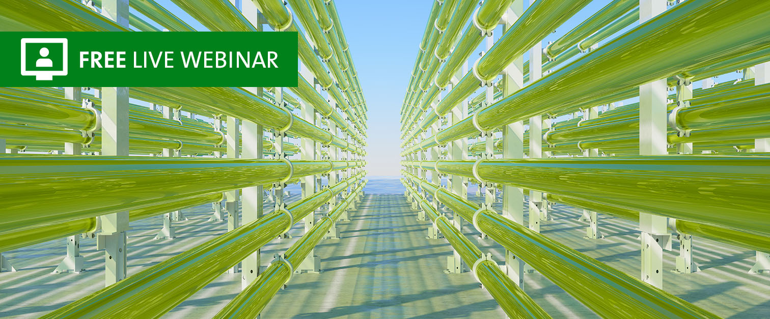 Towards an Integrated Algae Biorefinery: Extraction, Fractionation ...